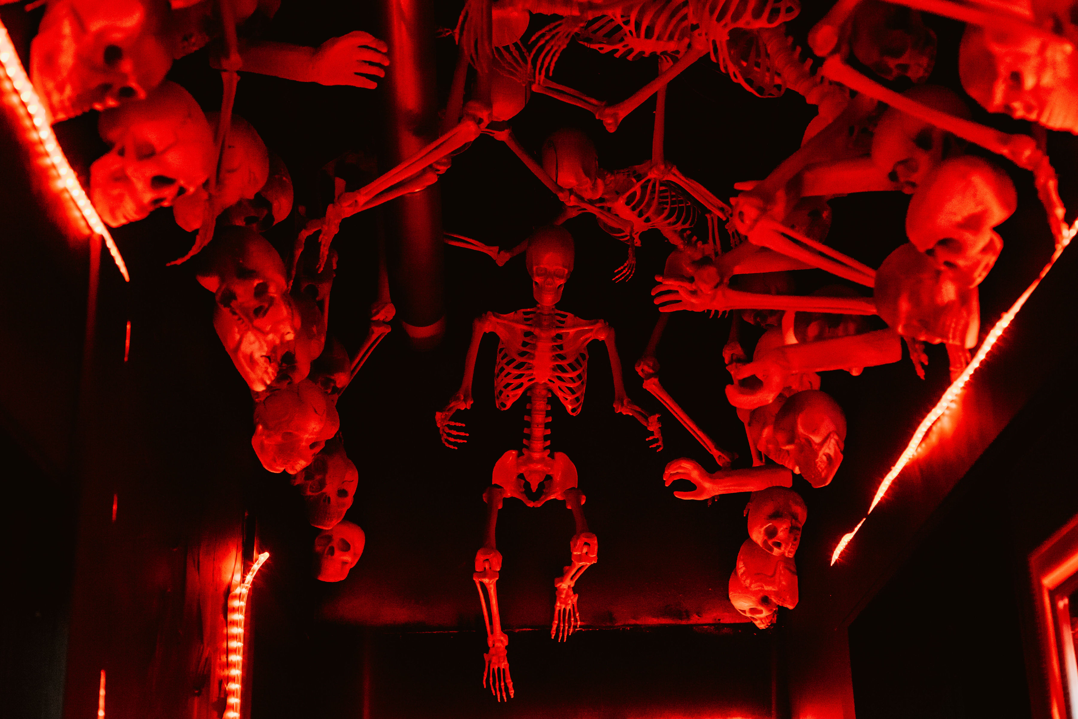 GALLERY – The Crypt